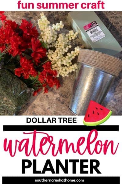 DIY Watermelon Planter (Fun Summer Craft Idea!) - Southern Crush at Home