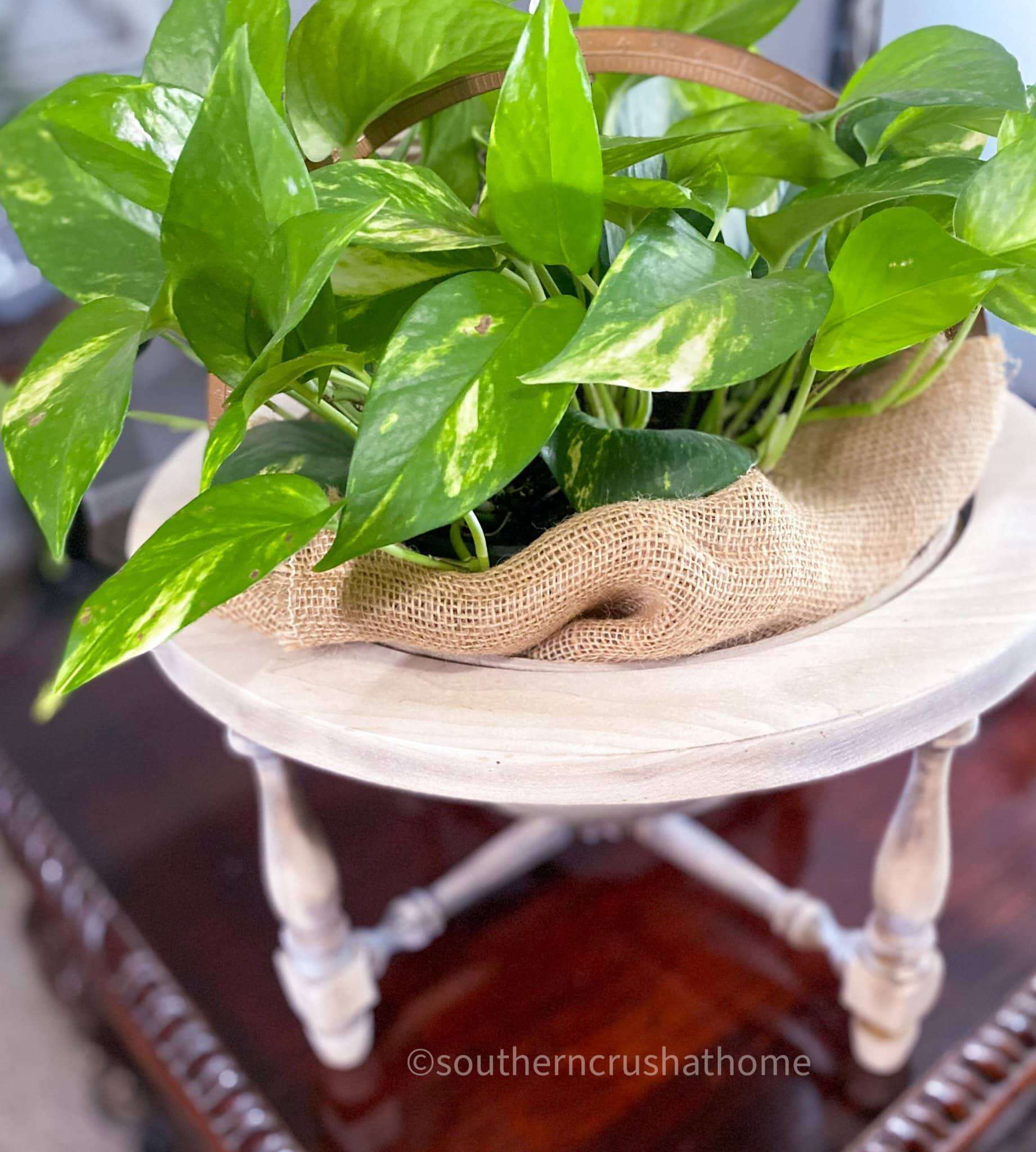 How to Bleach Wood (without using bleach) - Southern Crush at Home