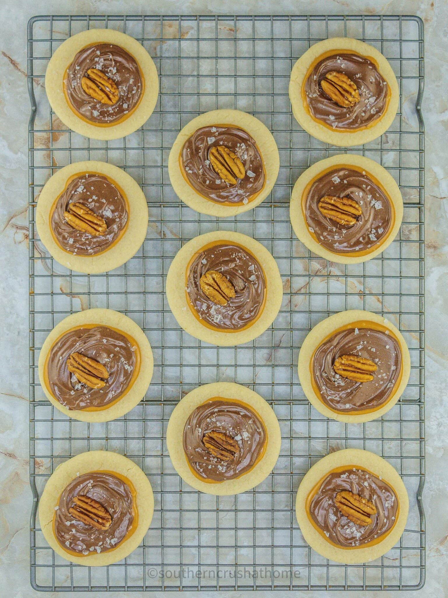 Easy Turtle Cookies - Southern Crush at Home