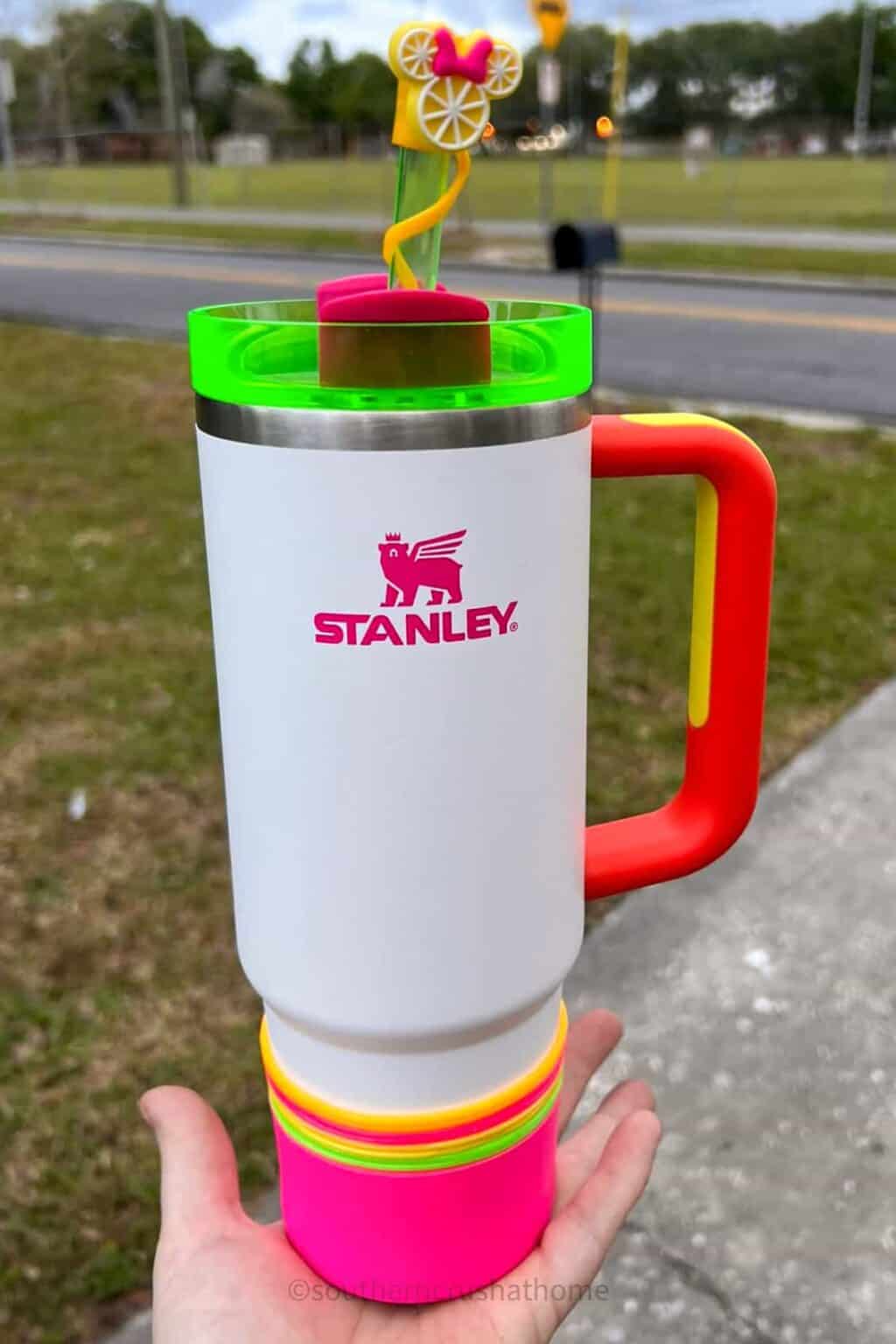 Elevate Your Hydration: The Ultimate Guide to Stanley Cups and Accessories