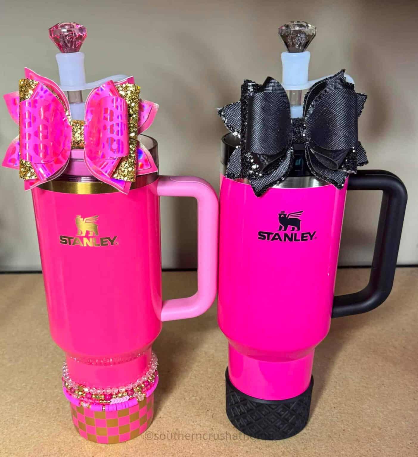 Elevate Your Hydration: The Ultimate Guide to Stanley Cups and Accessories