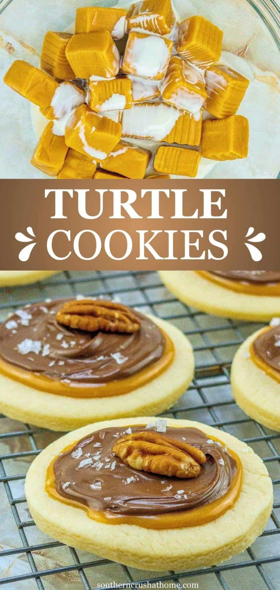 Easy Turtle Cookies - Southern Crush at Home