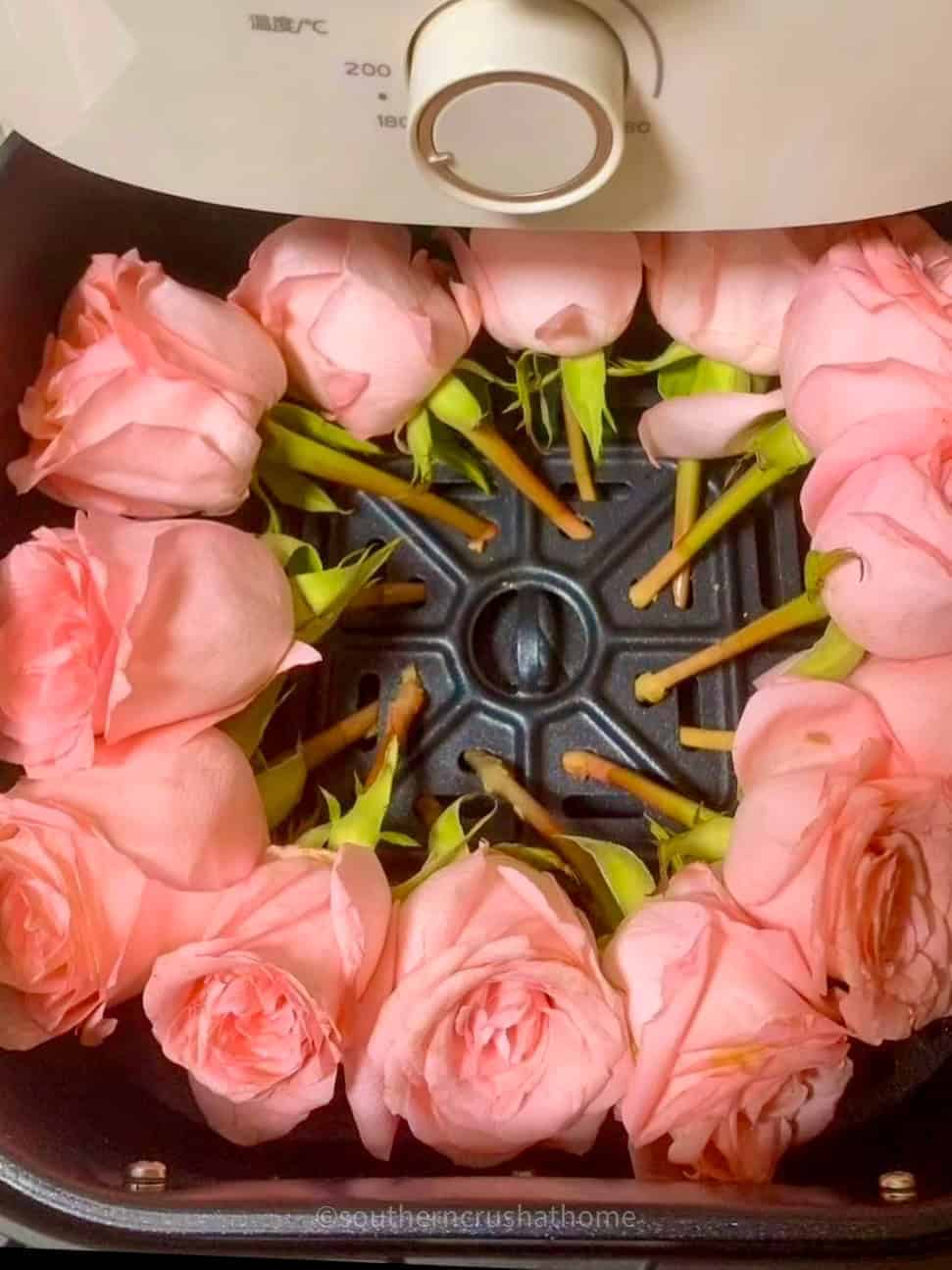 How to Preserve Flowers: Easy Air Fryer Method + 9 Ways to Display Them ...